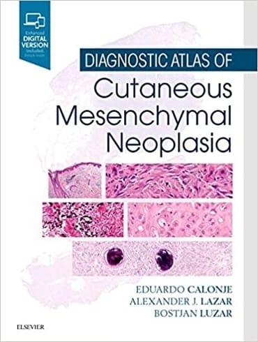 دانلود کتاب Diagnostic Atlas of Cutaneous Mesenchymal Neoplasia – medPDF