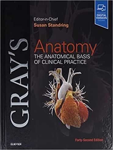 دانلود کتاب Gray’s Anatomy: The Anatomical Basis of Clinical Practice ...